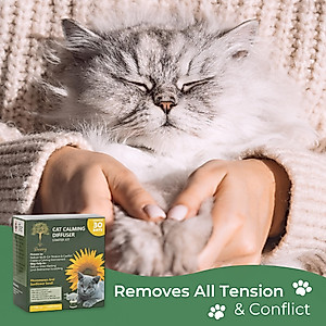 Daintry Cat Calming Pheromone Diffuser with.a Sunflower Smell Starter Kit: Reduces Multi-cat Tension, Conflict, Anxiety, and unwanted Behavior. Perfect for a Peaceful Environment.