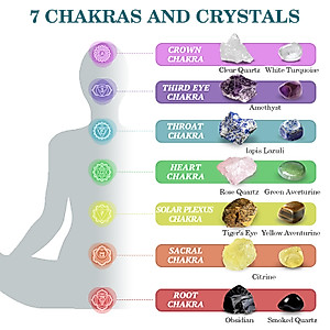 Crystals and Healing Stones 26Pcs Healing Crystal Set for Meditation Include 7 Raw Crystals, 7 Tumbled Stones, Pyramid&Pendulum Board, Chakra Tree of Life, Necklace&Bracelet, Wooden Gift Box.