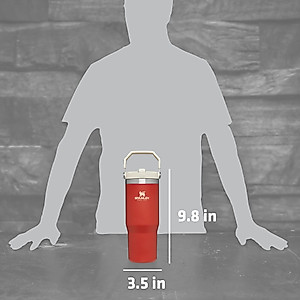 Stanley IceFlow Stainless Steel Tumbler with Straw - Vacuum Insulated Water Bottle for Home, Office or Car - Reusable Cup with Straw Leakproof Flip - Cold for 12 Hours or Iced for 2 Days (Carnelian)