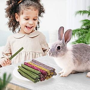 PStarDMoon Rabbit Chew Toys for Teeth, Timothy Grass Carrot Sticks for Guinea Pig Hamster Chinchilla Squirrel Bunny Small Rodent Animals (40 pcs)