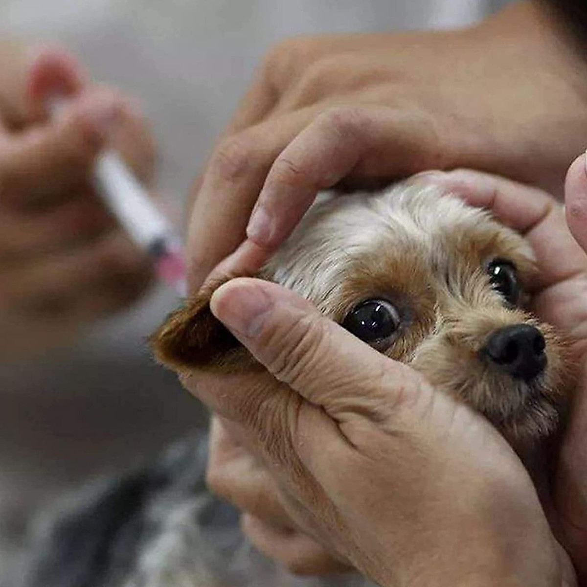 Arrebol 3ml/cc Lab Consumables with Luer Lock 23G1inch Individually Wrapped (25Pack)