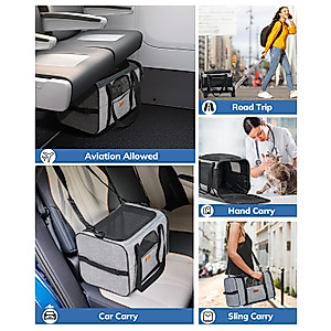 Morpilot Cat and Dog Carrier with Detachable Wheels - Airline Approved Rolling Carrier for Small Pets and Cats - Foldable Pet Travel Bag