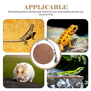 BCOATH Pet Heating Pad Lizard Heating Pad Lizard Terrarium Portable Heating Pads Bearded Dragon Warming Bed Pets Warming Sleeping Pad Electric Pet Heated Pad Reptile Pets Heated Mat Mat