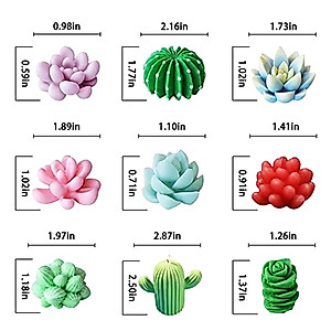 Navani Succulent Silicone Mold, Cactus Resin Mold, Candle Mold Silicone for DIY Handmade Soap, Candle, Cake Decoration - 9 Pcs