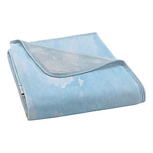 Northwest Cinderella Micro Raschel Throw Blanket, 46" x 60", On Time