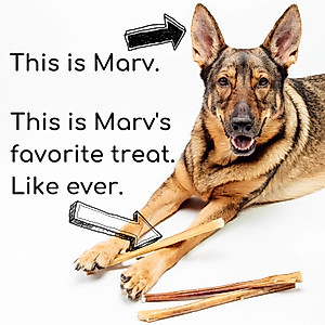 Best For My Pets 12-Inch Odor Free Bully Sticks All Natural Dog Treats Fresh Long Lasting Chews, 8-Ounce Bag