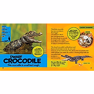 National Geographic Little Kids First Big Book of Reptiles and Amphibians (National Geographic Little Kids First Big Books)