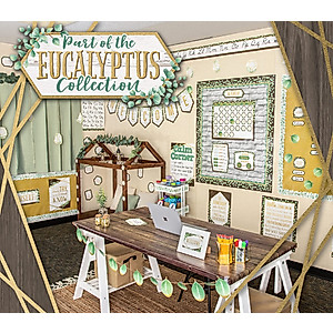 Teacher Created Resources Eucalyptus Straight Rolled Border Trim - 50ft - Decorate Bulletin Boards, Walls, Desks, Windows, Doors, Lockers, Schools, Classrooms, Homeschool & Offices
