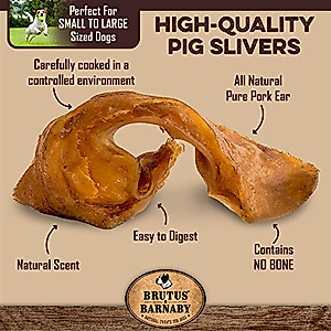 BRUTUS & BARNABY Pig Ear Slivers - Thick Cut, All Natural Dog Treat, Healthy Pure Pork Ear, Easily Digested, Best Gift for Large & Small Dogs (1 lb)