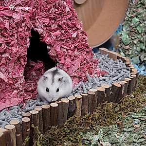 Niteangel Hamster Suspension Bridge Toy - Long Climbing Ladder for Dwarf Syrian Hamster Mice Mouse Gerbils and Other Small Animals (21.8" L x 2.8" W)