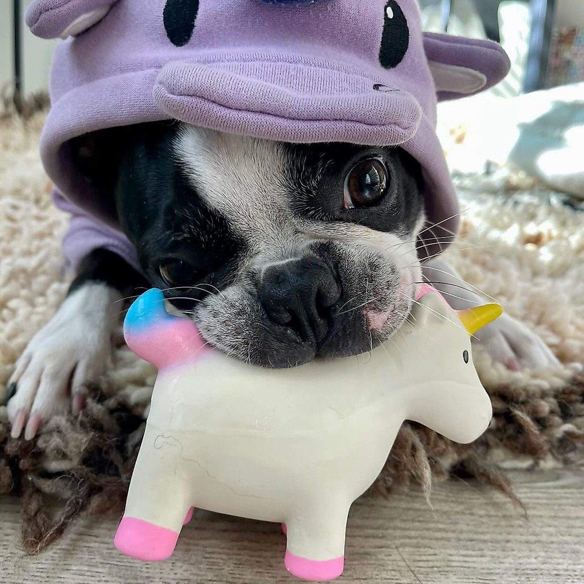 rocket & rex No Stuffing Dog Toy | Unstuffed Dog Toys Set with Squeakers | Includes a Stuffing Free Rope Toy, Rubber Squeaker Toy and Plush Toy | for Small to Medium Breeds | Dog Stocking Stuffer