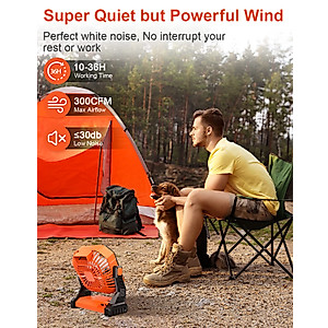Camping Fan for Tent, 15000mAh Rechargeable Battery Operated Fan, Portable Tent Fan for Camping with Light, Hook, Timer, 270° Rotation, Outdoor USB Fan for Picnic BBQ Fishing Travel Hurricane Jobsite