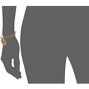 Alex and Ani Mother of the Groom Charm Bangle, Rafaelian Gold, Expandable