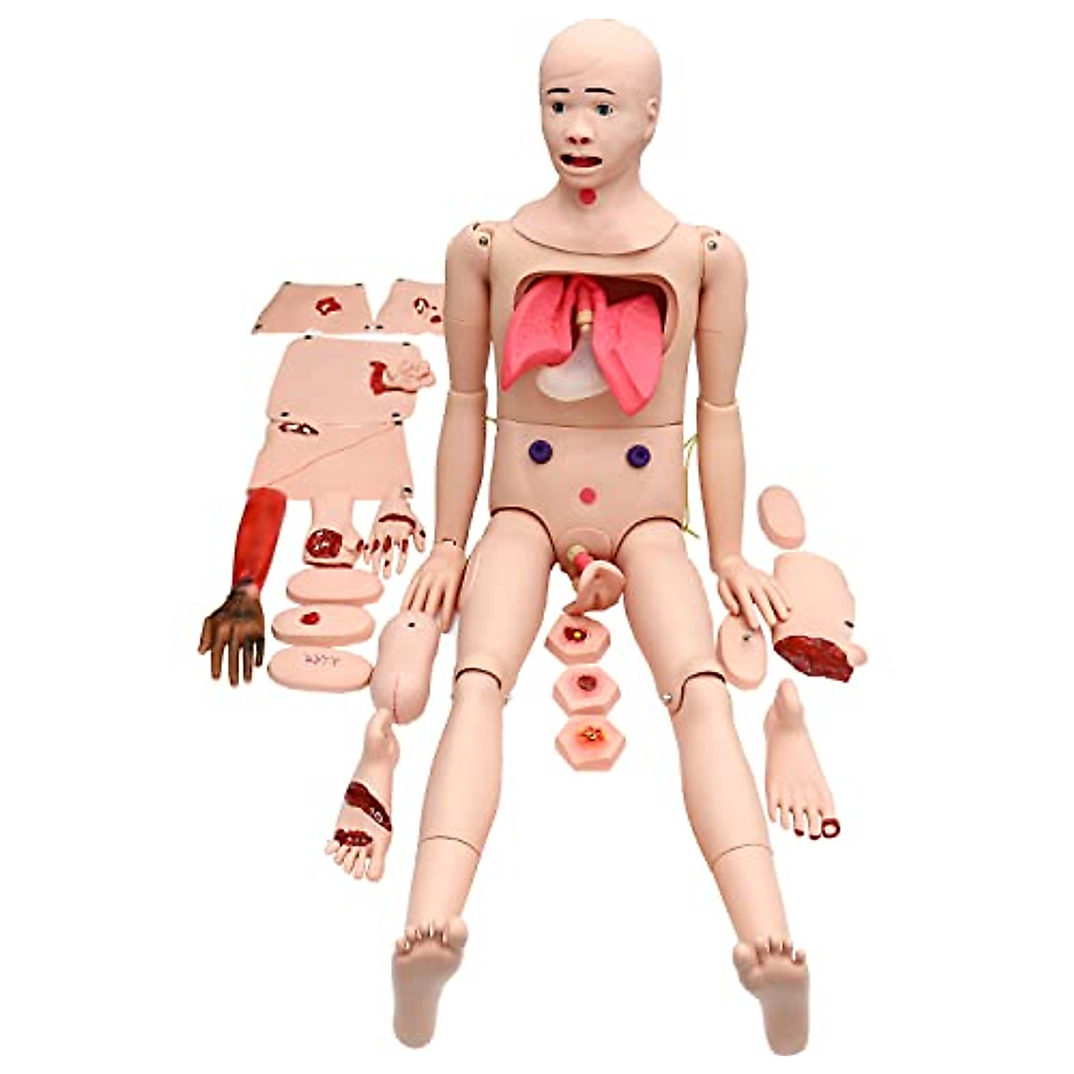 PreAsion Manikin Training 24 Wound ModulesTrauma Manikin Care Multi Functional Anatomical Human Model Advanced Training Manikin Model Demonstration Manikin for Men and Women Life-Size Nursing Model