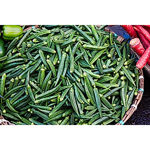 TKE Farms-Clemson Spineless Okra Seeds for Planting, 6 Grams ≈ 100 Seeds, Abelmoschus esculentus