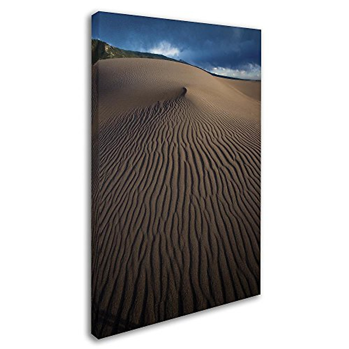 Desert Design by Dan Ballard, 30x47-Inch Canvas Wall Art