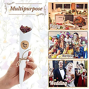 30 Pcs Party Confetti Cone Holder Box Set Stand Tray Box Petals Bouquet Candy Wedding Confetti Cones Confetti Cone Holder Favor Include Ropes, Adhesive Stickers Box and Tray