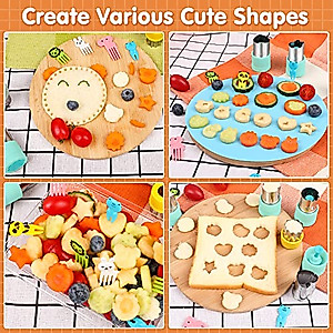 Updated Fruit Cutter Shapes Vegetable Cutters for Kids 19 PCS HINZER Mini Cookie Cutters Set with Food Picks for Kids School Lunch Bento Box Accessories DIY Kitchen Baking Pastry Cookie Stamps Mold