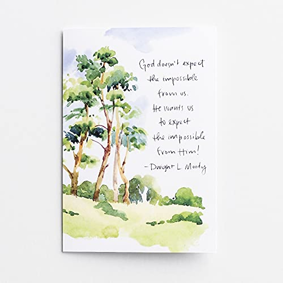 DaySpring - Praying for You - King James Version - Classic Quotes - 4 Design Assortment with Scripture (12 Boxed Cards and Envelopes) (81840)