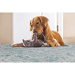 FH Home Flat Woven Outdoor Rug - Waterproof, Easy to Clean, Stain resistant - Premium Polypropylene Yarn - Distressed Farmhouse - Porch, Deck,Balcony,Laundry Room - Granada - Aqua - 2ft 7in x 4ft 11in