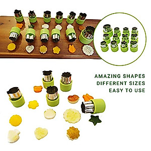 30 PCS Fruit slicer set Fruit Shape Cutters, mini Cookie Cutters, Apple Slicer, Avocado Cutter, Banana Slicer, Watermelon Cutter, melon baller, Carving Knife, vegetable cutters Carespot