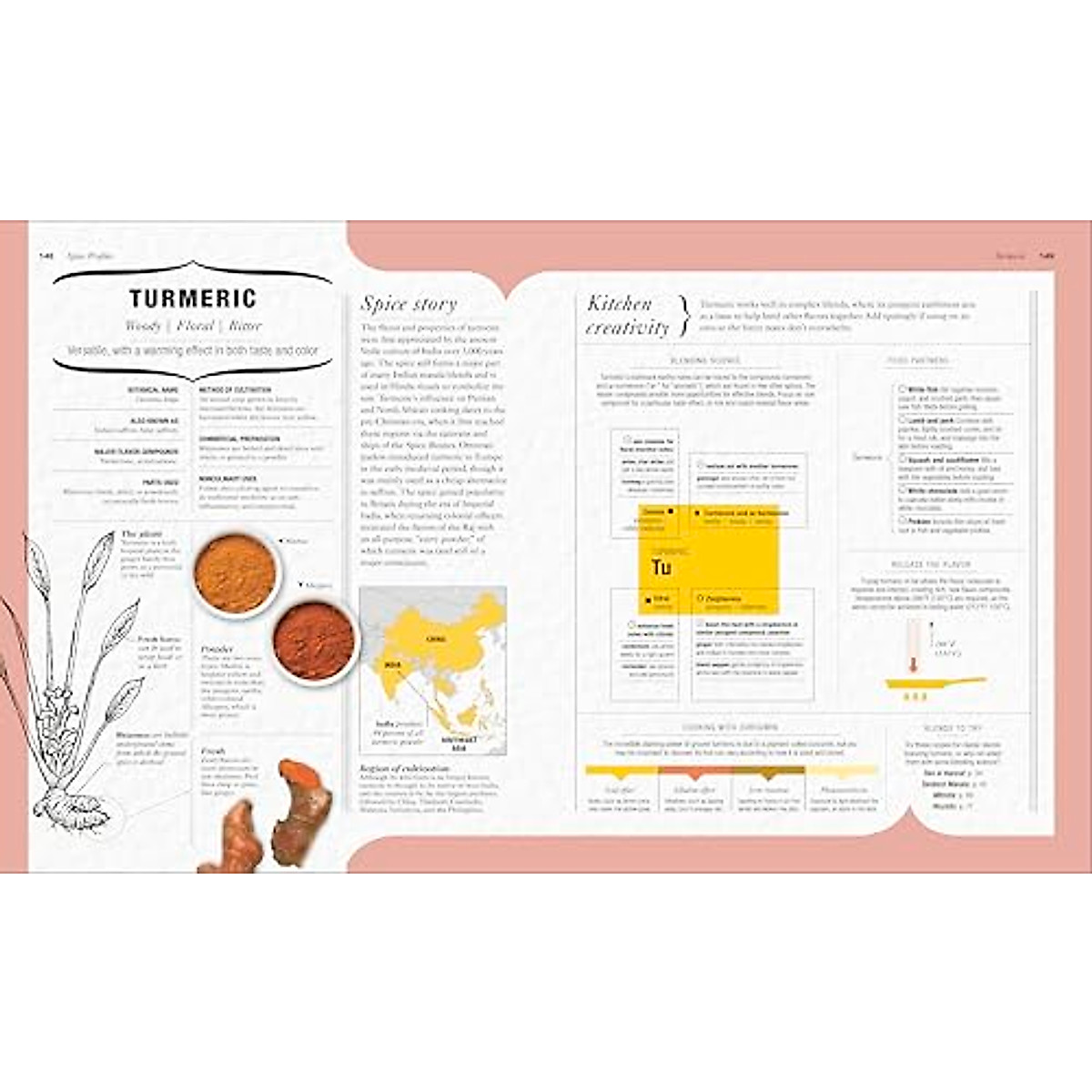 The Science of Spice: Understand Flavor Connections and Revolutionize Your Cooking