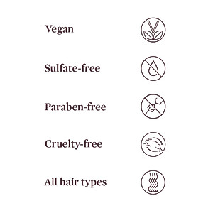 Better Not Younger Wake Up Call Shampoo, 8 Oz. Conditioner, 8 Oz. and Superpower Fortifying Hair & Scalp Serum Bundle