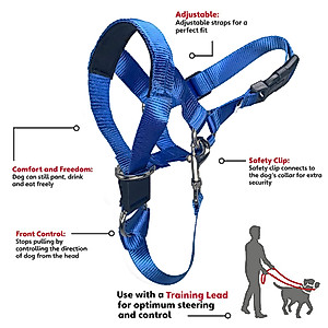 BARKLESS No-Pull Head Collar for Dogs Training & Walking Made Easy, Soft Dog Halter Harness with Expert Training Guide - Put an End to Pulling on The Leash (M, Blue)