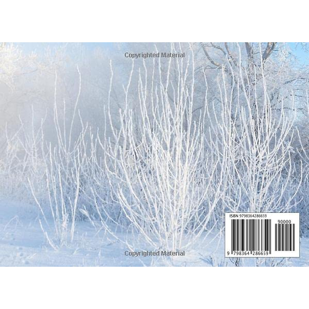 Stocking Stuffers for Women: Sudoku Puzzles : Winter Activity Book for Adults (Womens Stocking Stuffers)