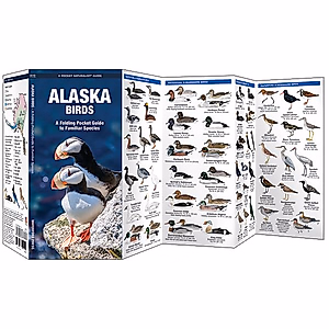 Alaska Birds: A Folding Pocket Guide to Familiar Species (Nature Observation North America)