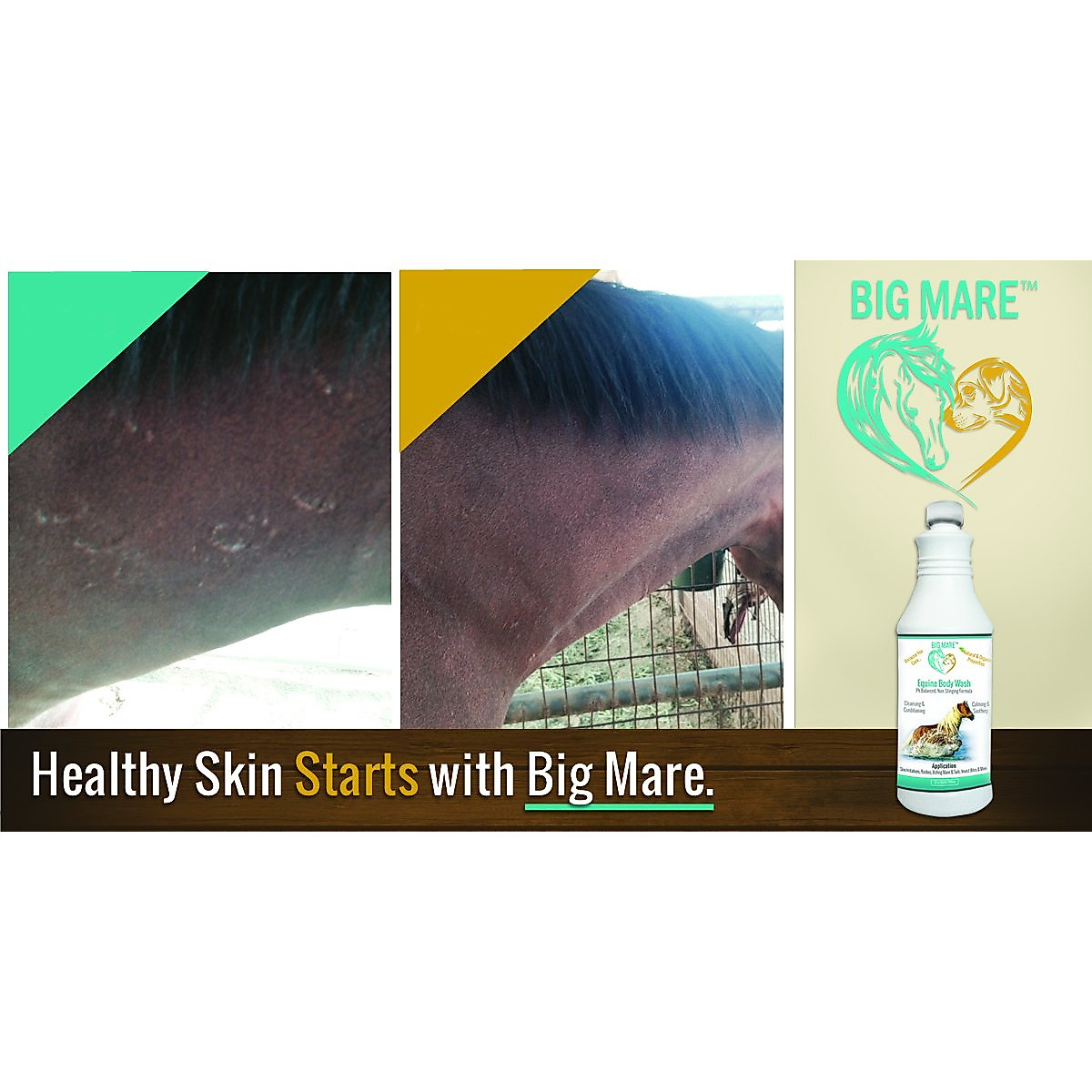 Big Mare Horse Medicated Body Wash | Clinically Proven Effective for Girth Itch, Scratches, Hives, Rain Rot, Dry, Irritated Skin & Hair Loss | Veterinary Approved & Recommended 32 oz Bottle