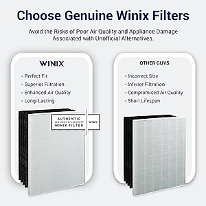 Genuine Winix 113250 Replacement Filter E for P450, White/Black