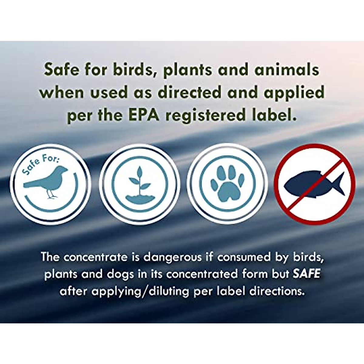 Fountain Algaecide and Clarifier - 16oz - Kills and Inhibits All Types of Algae Growth, Formulated for Small Ponds and Water Features, Treats up to 16,000 Gallons