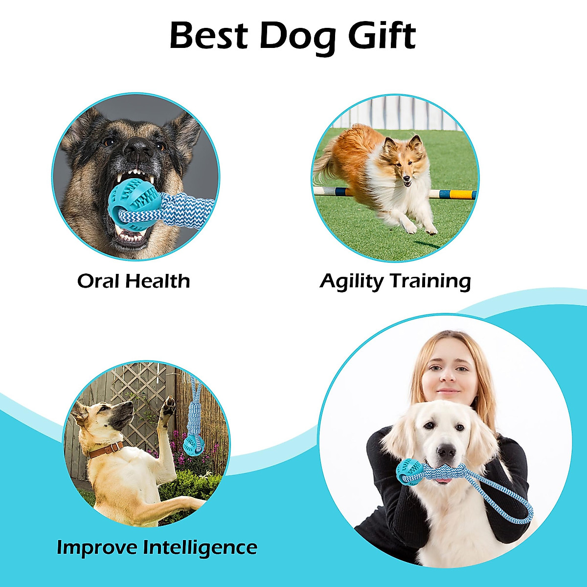 Bungee Dog Toy Set，Dog Outdoor Bungee Solo Hanging Toy，Tether Tug of War Dog Toys for Pitbull Medium/Large Aggressive Chewers to Muscle Build, Interactive Excise 16ft Spring Pole Rope with Chew Toys