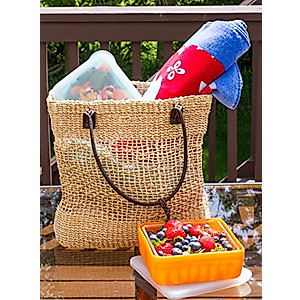 Frego Award-Winning Plastic-Free Glass and Silicone Food Container | 4 Cups | Orange