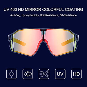 ROCKBROS Polarized Sunglasses UV Protection for Women Men Cycling Sunglasses