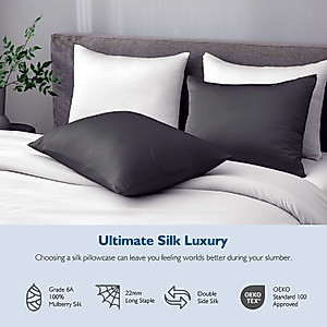 Dafinner 100% Mulberry Silk Pillowcases Queen Size, Set of 2 Black Silk Pillow Cases, Hair and Skin Friendly, Hidden Zipper, Gifts for Women Men, 2 Pack, 20x30 Inches, Moonless Night Black