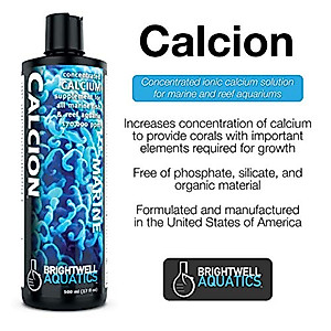 Brightwell Aquatics Calcion - Concentrated Liquid Calcium Supplement for All Marine Aquariums