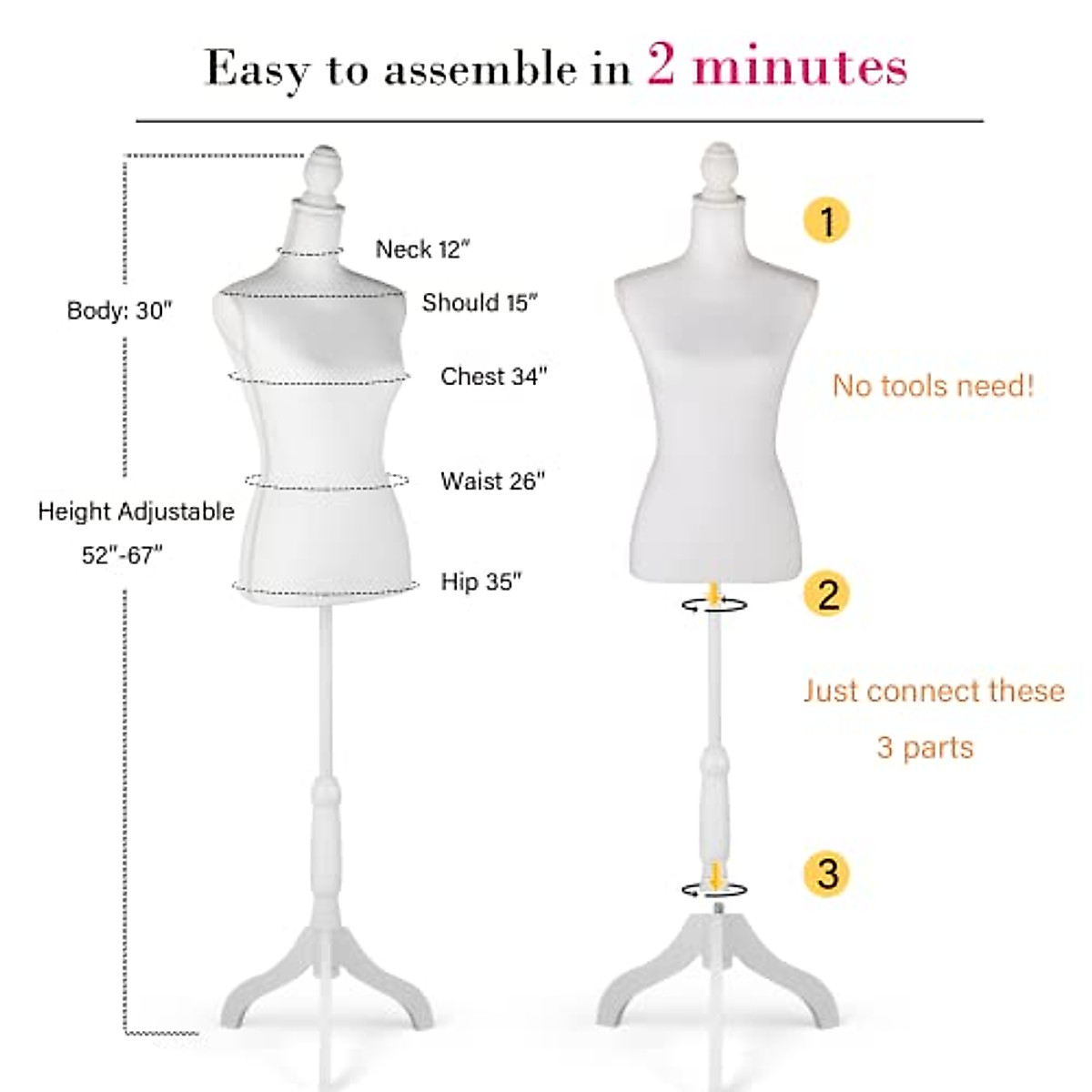 HOMBOUR Female Mannequin Body, Sewing Mannequin Torso Dress Form, Adjustable Mannequin with Stand for Display Dressmaker, White
