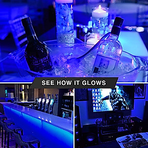 2 Pack BlueX LED A21 Blue Light Bulbs - 15W (120Watt Equivalent) - E26 Base Blue LED Blue Bulb, Party Decoration, Porch, Home Lighting, Holiday Lighting, Decorative Illumination Blue LED Bulb