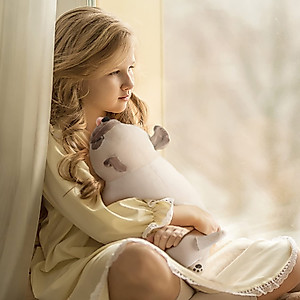 Spring Country Bulldog Plush Toy, 20 Inch Stuffed Animal Throw Plushie Pillow Doll, Soft Fluffy Puppy Dog Hugging Cushion - Present for Every Age & Occasion