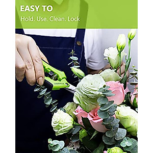 STAYGROW 2pcs 6.5" Pruning Shears for Gardening, Ultra Sharp Garden Scissors for Precise Cuts, Stainless Steel Bonsai Clippers with Spring Loaded, 6.5 Inch Garden Shears (1pc Straight & 1pc Curved)