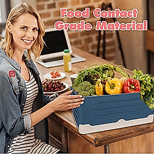 Aliokee 30L Collapsible Storage Bins with Lids,Durable Folding Plastic Containers, Utility Crates,Stackable Latch Storage Boxes For Home & Office &Car Travel Organization(3-Pack,Blue)