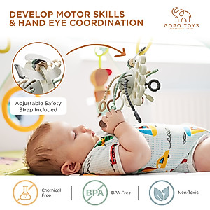 GOPO TOYS Montessori Toys for 18+ Months Old - Baby Sensory Toys for Boys and Girls - Silicone Pull String Activity Toy for Toddlers - Learning & Educational Toys for Kids - Babies Birthday Gifts