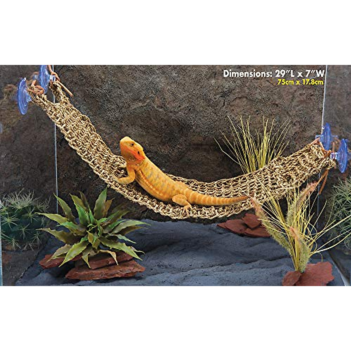 PENN-PLAX Reptology Lizard Lounger – 100% Natural Seagrass Fiber – Great for Bearded Dragons, Anoles, Geckos, and Other Reptiles – Extra Large