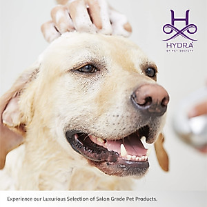 Hydra Professional Experience , Shampoo, Conditioner, and Sprays, Dog and Cat Grooming Supplies, 6-Bottle Set