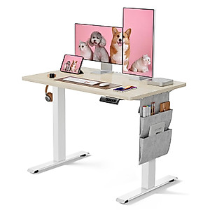 Marsail Electric Standing Desk, 40x24 Inch Adjustable Height Home Office Gaming Desk with 4 Memory Presets, Storage Bag, Stand-Up Desk for Computer Workstations. Headphone Hook,Cable Organizer