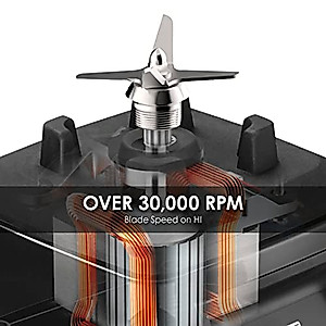 Waring Commercial MX1000XTS 3.5 HP Blender with Paddle Switches, Pulse Feature and a 64 oz. Stainless Steel Container, 120V, 5-15 Phase Plug, Black