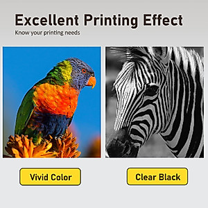 62XL Ink Cartridges High Yield Replacement for HP Ink 62xl Black and Color Combo Pack Work with HP Envy 5540 5549 5640 5660 7640 7645 OfficeJet Mobile 250 200 OfficeJet 5740 5741 8040 Printer