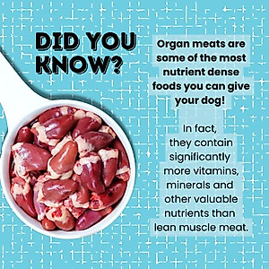 hotspot pets Freeze Dried Chicken Treats for Cats & Dogs - Single Ingredient All Natural Grain-Free Chicken Breast - Perfect for Training, Topper or Snack - Made in USA - 1LB Bag (Chicken Breast)